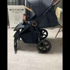 Коляска прогулочная Olsson Grand Shale Green купить по цене 13899 ₽ в ...